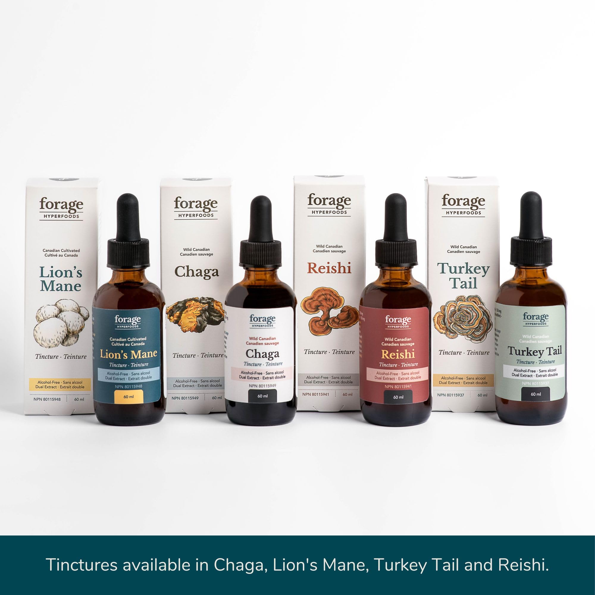 herbal supplement for brain health