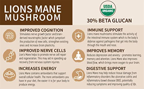 herbal supplement for brain support