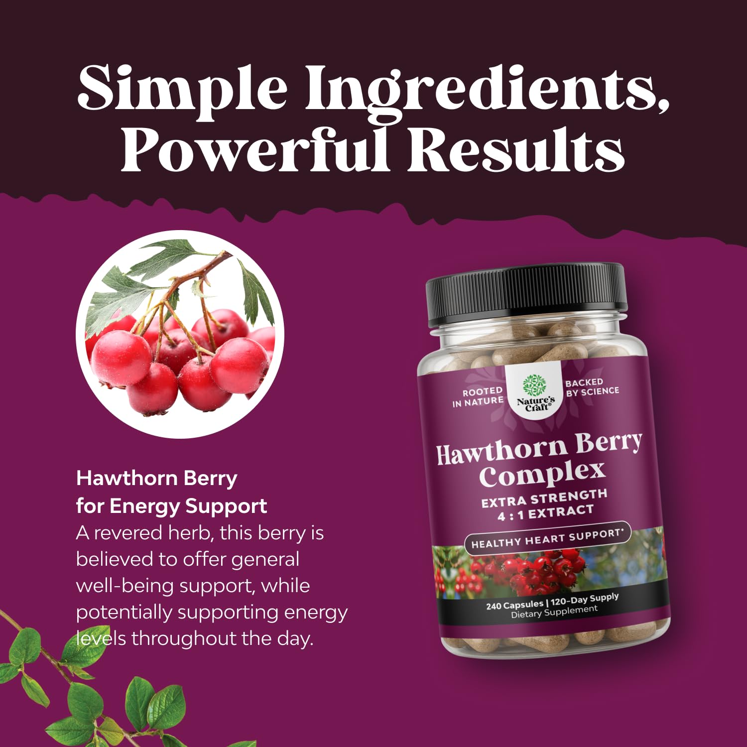 herbal supplement for cardiovascular support