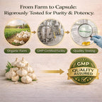 herbal supplement for cholesterol management