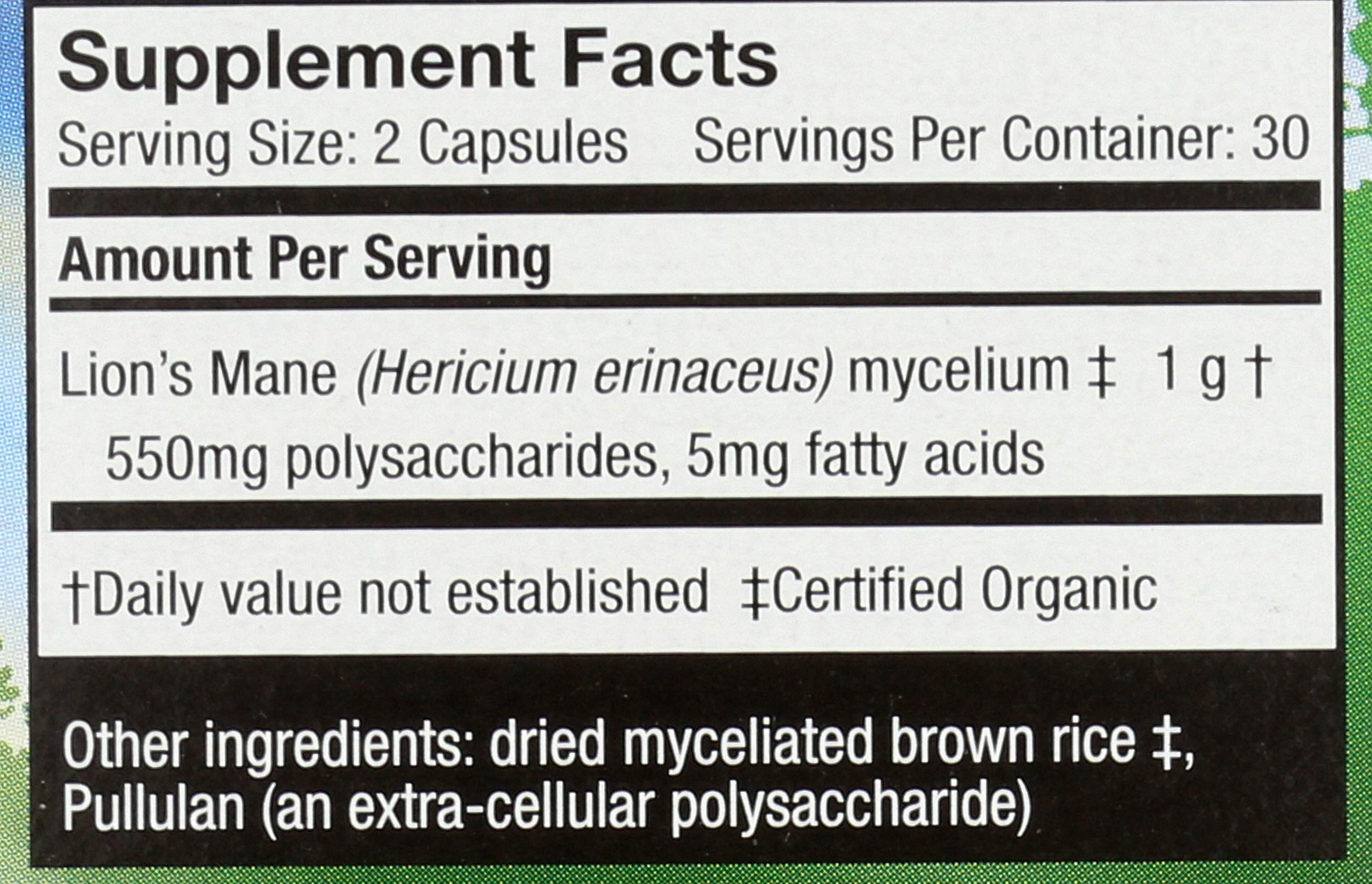 Herbal supplement for cognitive enhancement
