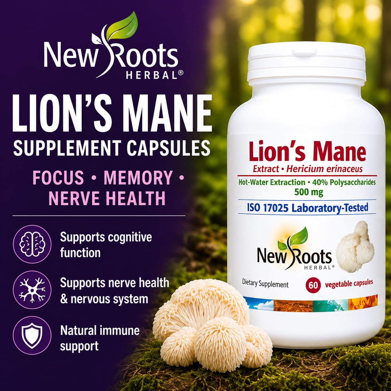 Herbal supplement for cognitive enhancement