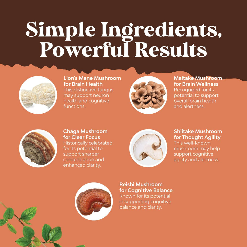 Herbal supplement for cognitive function