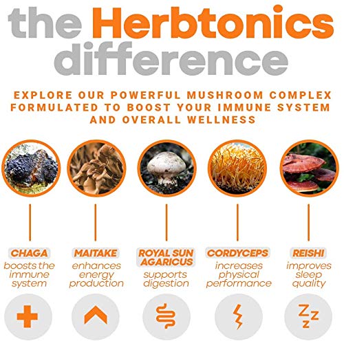 herbal supplement for cognitive function