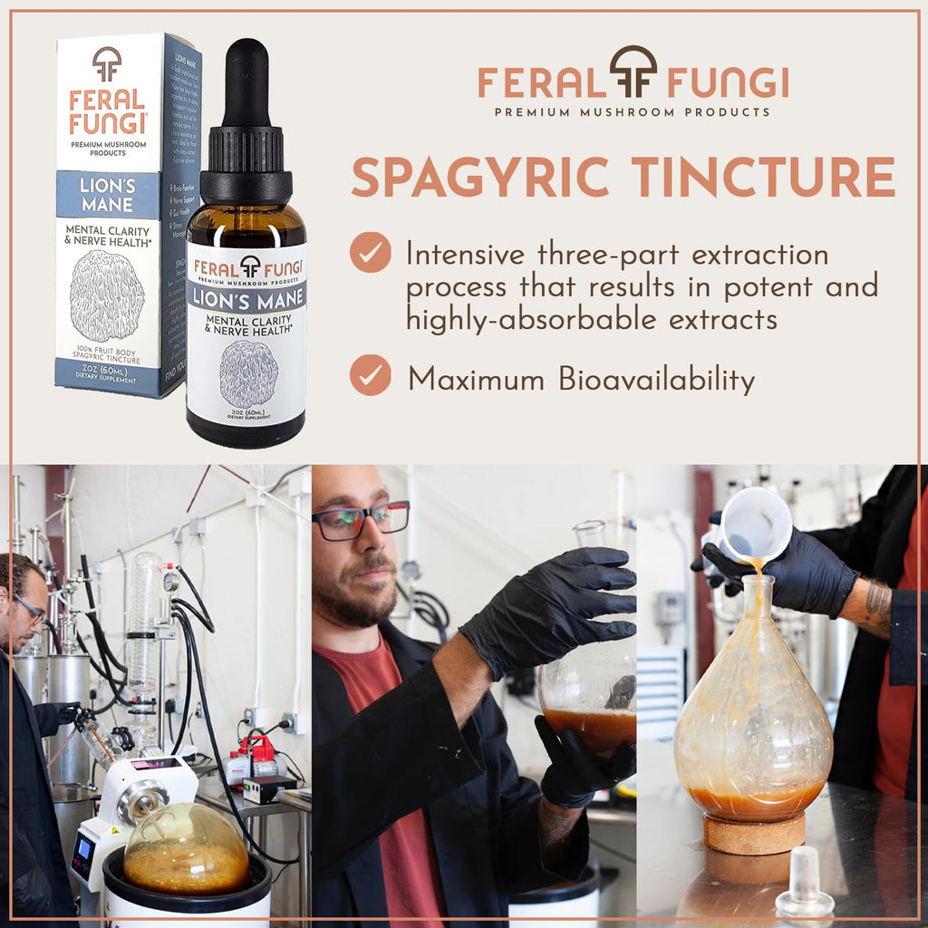 herbal supplement for cognitive support