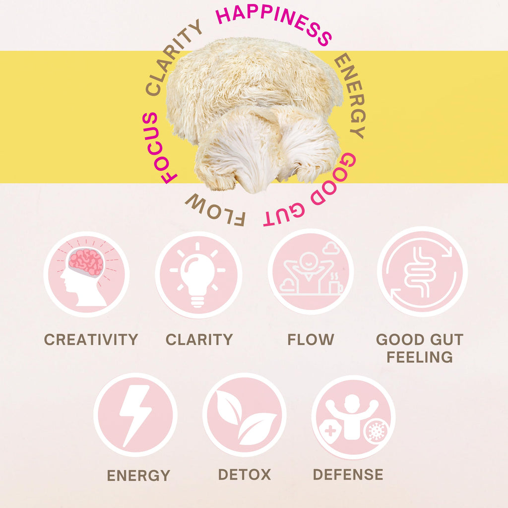herbal supplement for cognitive support