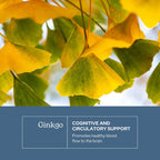 Herbal supplement for cognitive support