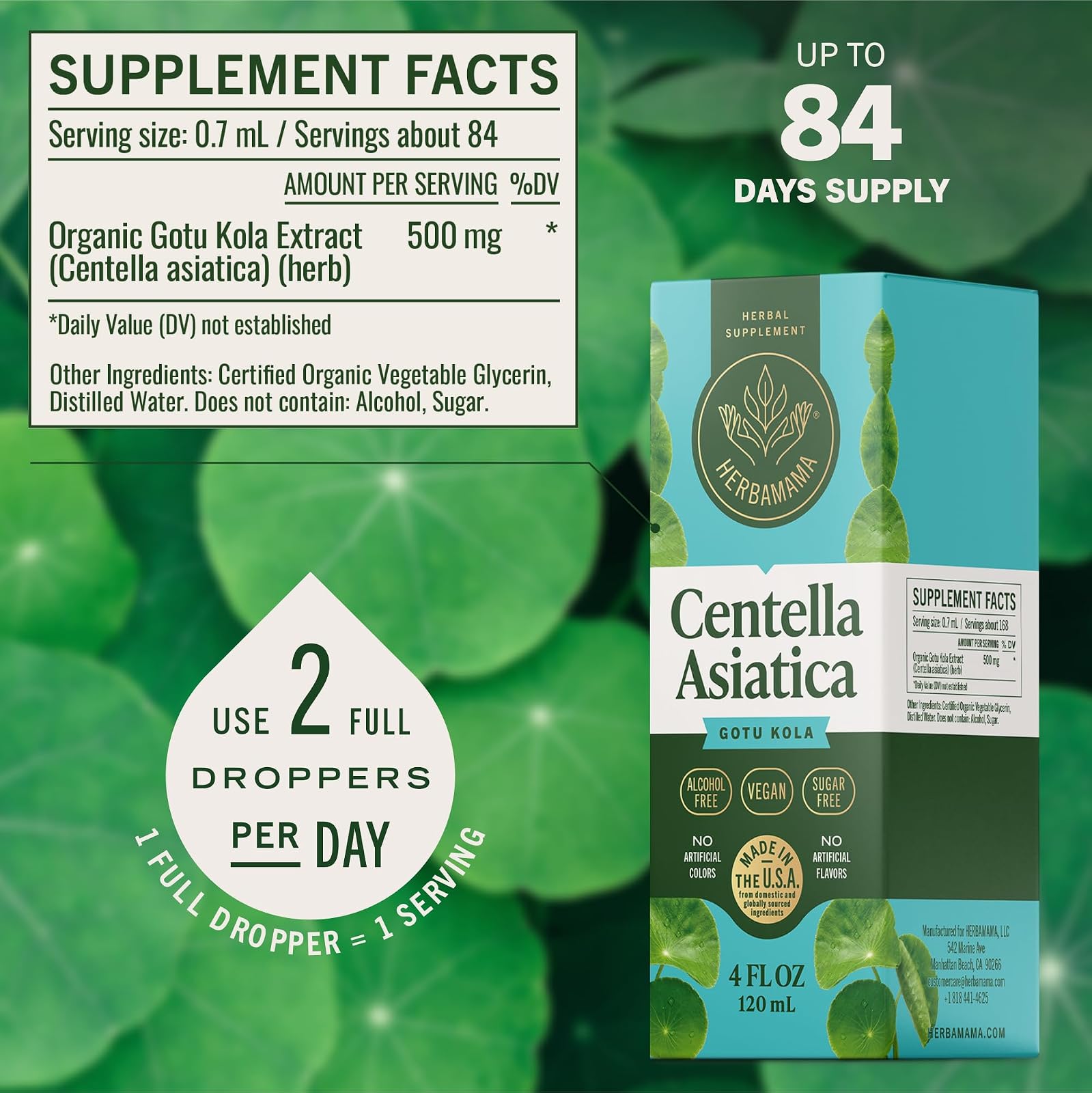 Herbal supplement for cognitive support