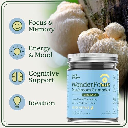herbal supplement for cognitive support