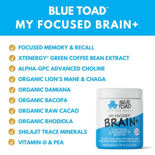 Herbal supplement for cognitive support