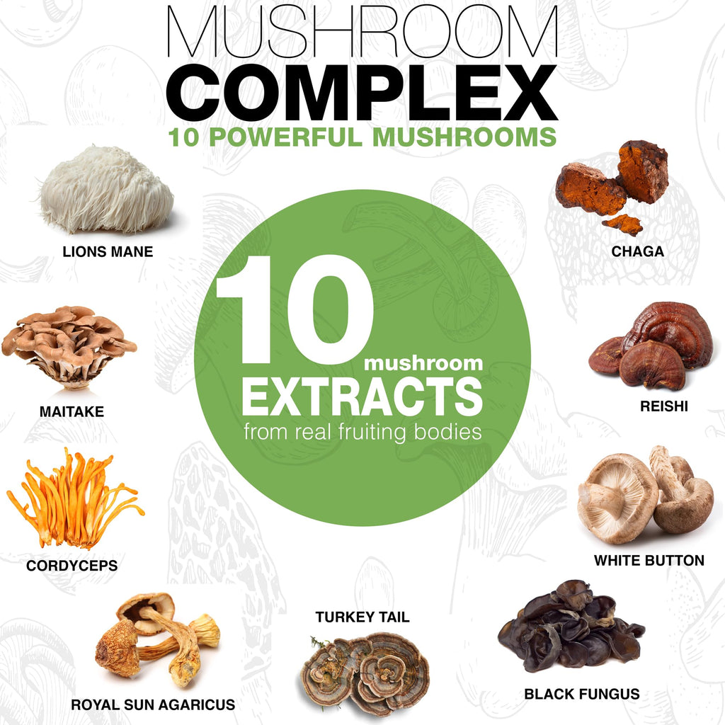 herbal supplement for cognitive support