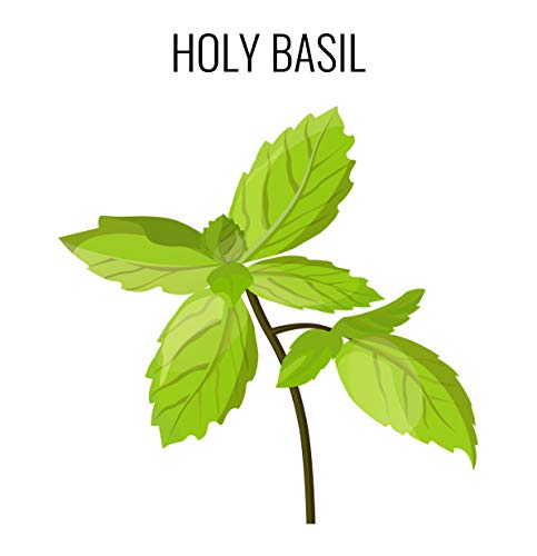 herbal supplement for daily health