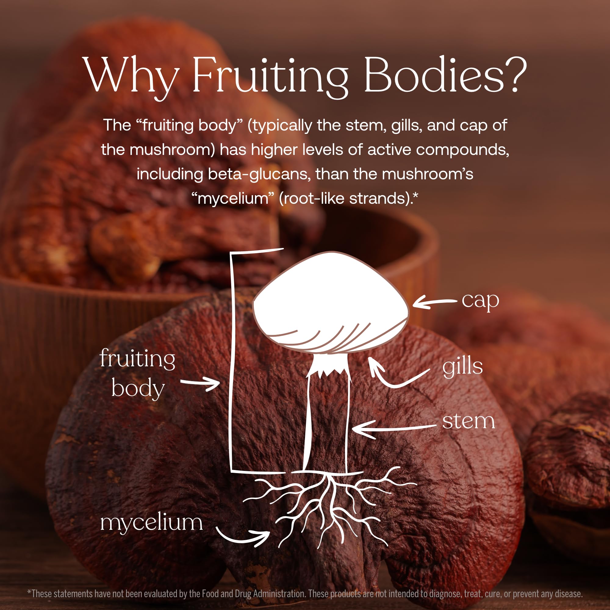 herbal supplement for daily vitality