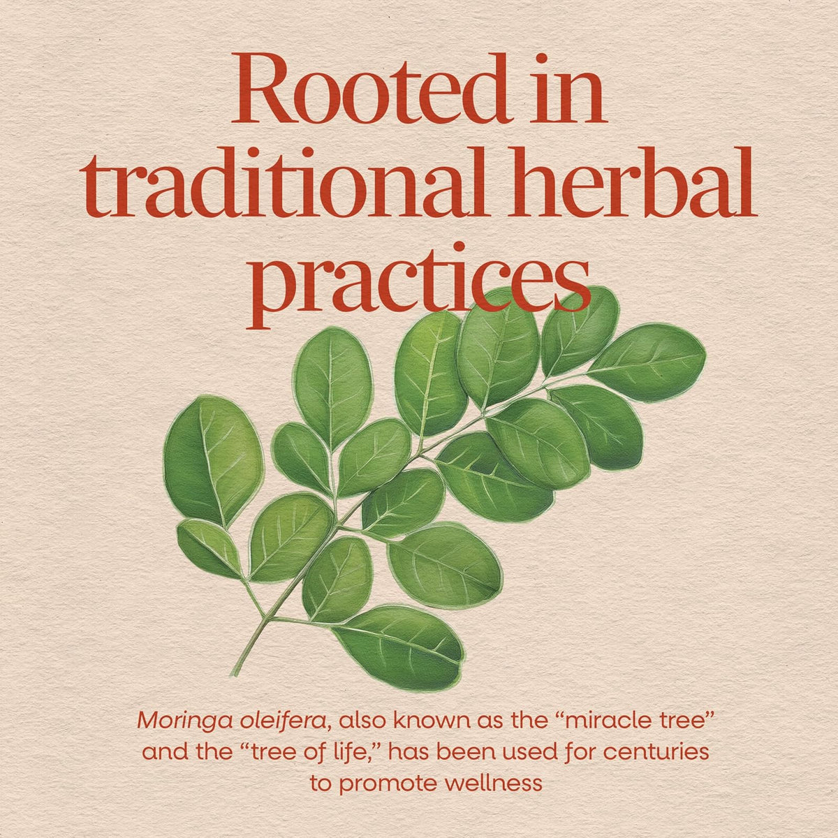 Herbal supplement for daily wellness
