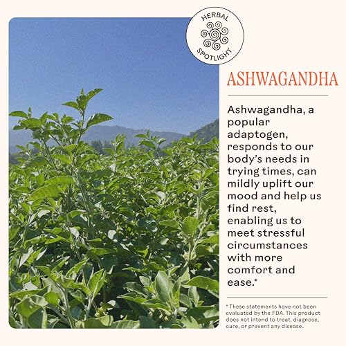 herbal supplement for daily wellness