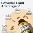 Herbal supplement for daily wellness