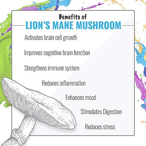 herbal supplement for daily wellness