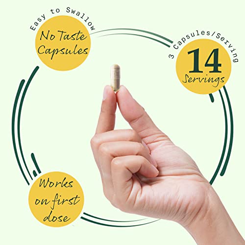 herbal supplement for detox
