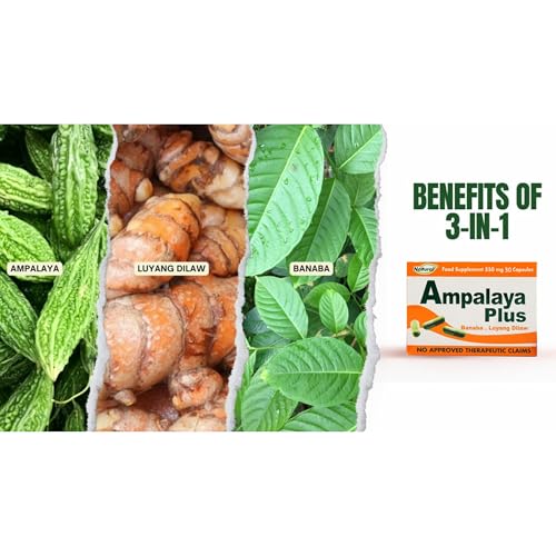 Herbal supplement for digestive health