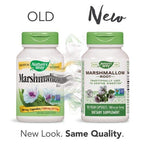 herbal supplement for digestive health