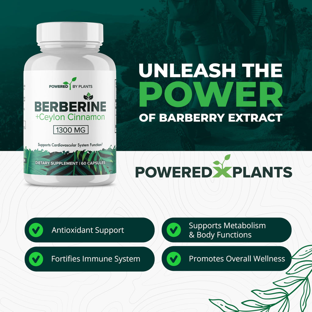Herbal supplement for digestive health