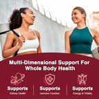 herbal supplement for digestive health