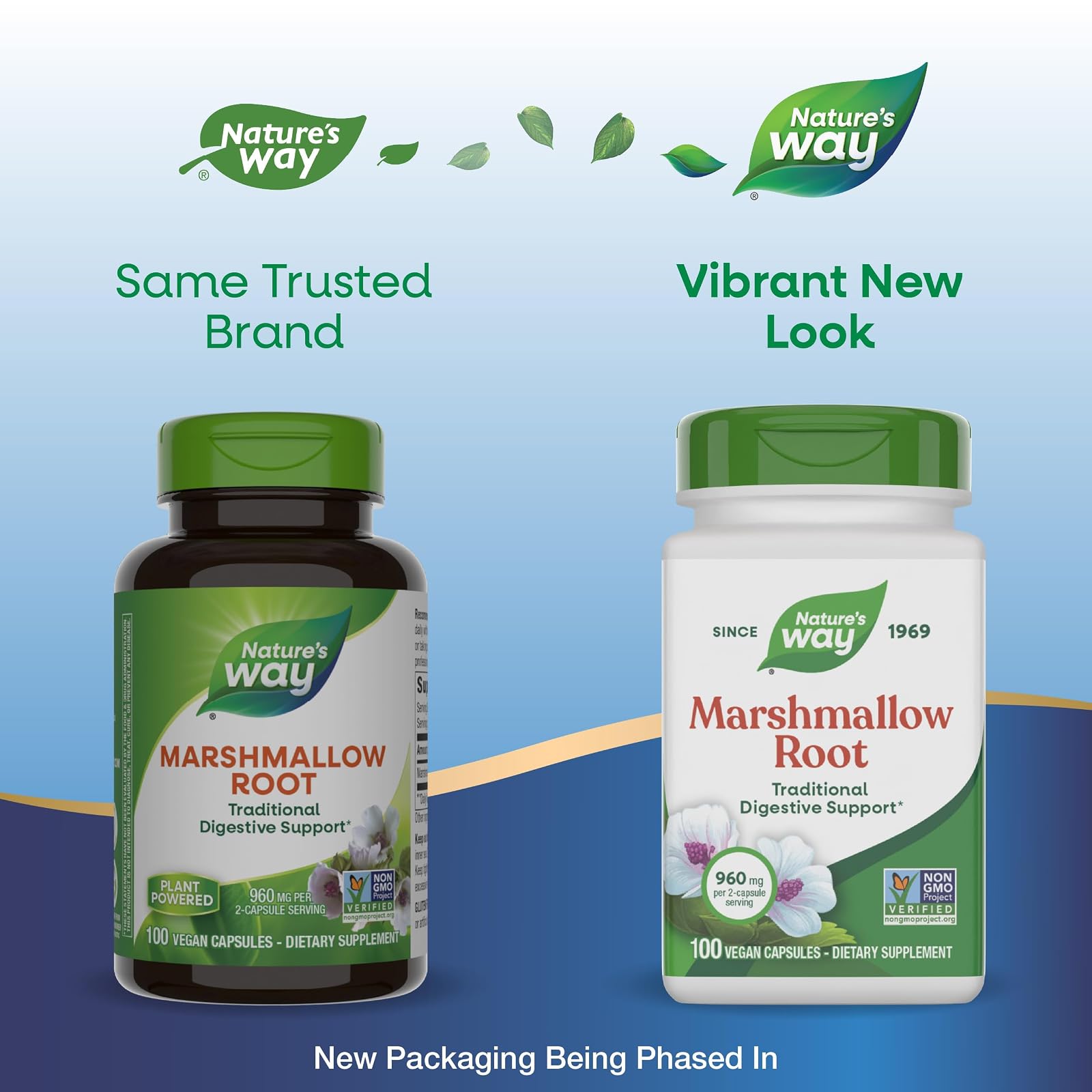 herbal supplement for digestive health
