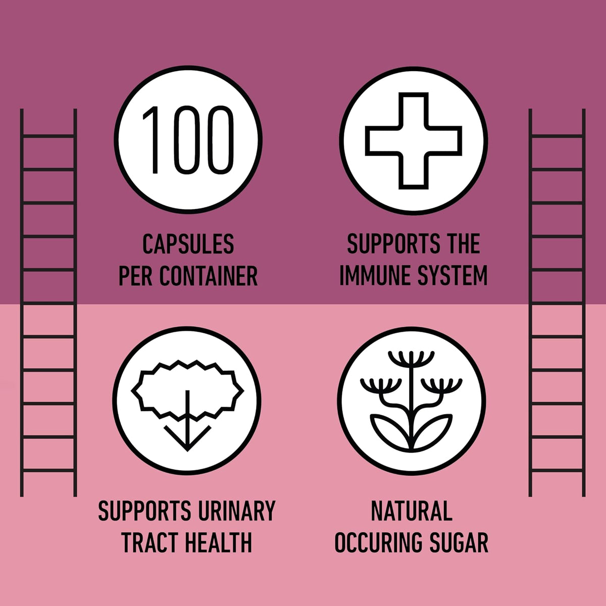 Herbal supplement for digestive health