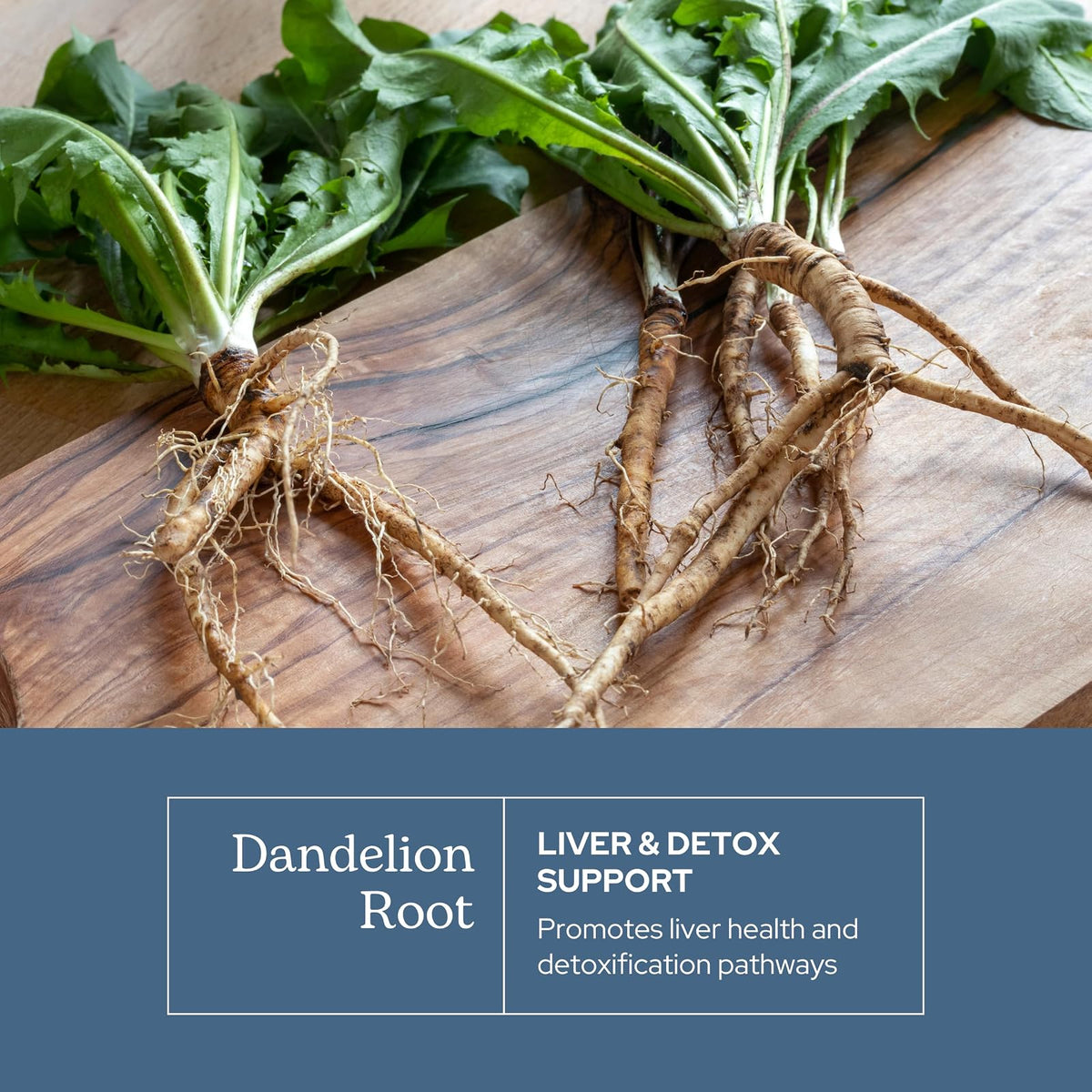 Herbal supplement for digestive health