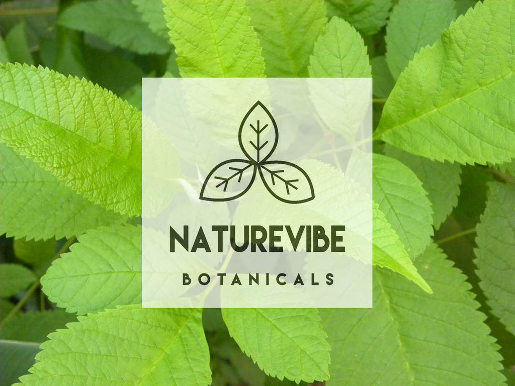 Herbal supplement for digestive support