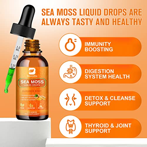 herbal supplement for digestive support