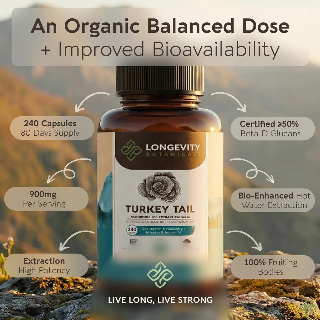 herbal supplement for digestive wellness