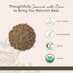 herbal supplement for energy boost
