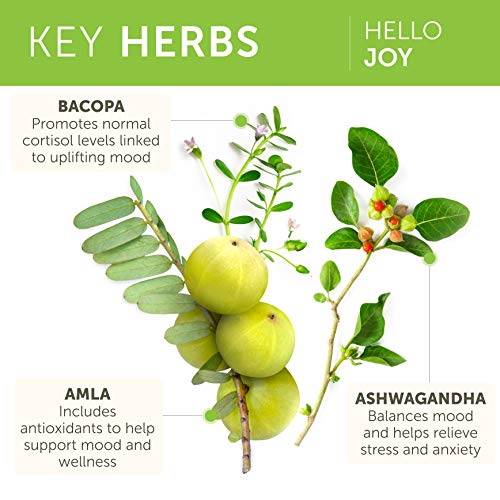 herbal supplement for energy boost