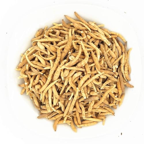 herbal supplement for energy