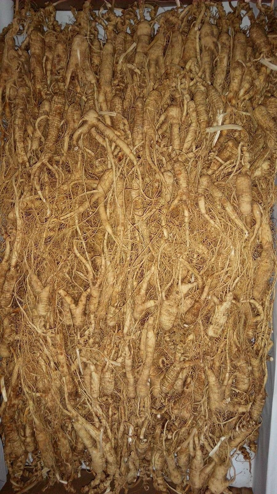 herbal supplement for energy