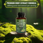 Herbal supplement for enhanced wellness