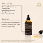 herbal supplement for focus
