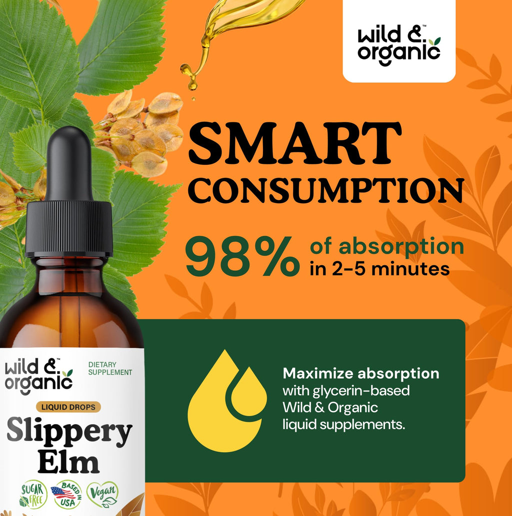 herbal supplement for gut health