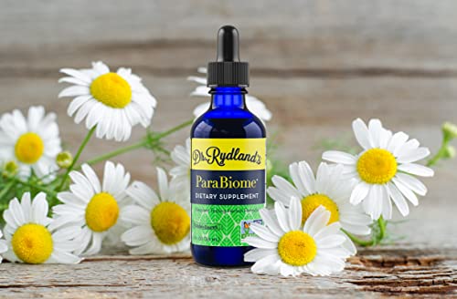herbal supplement for gut wellness