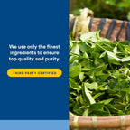Herbal supplement for hormone balance