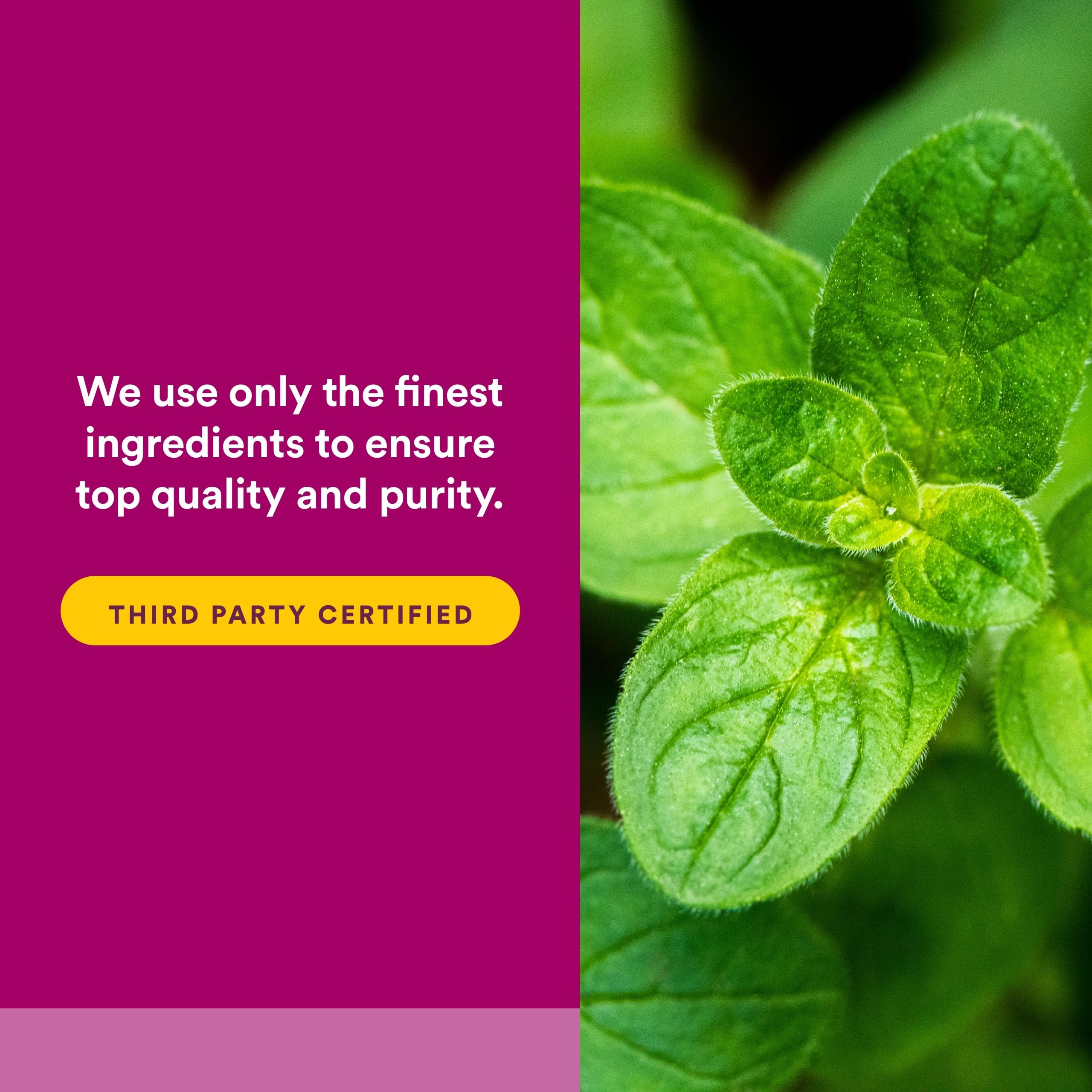 herbal supplement for immune boost
