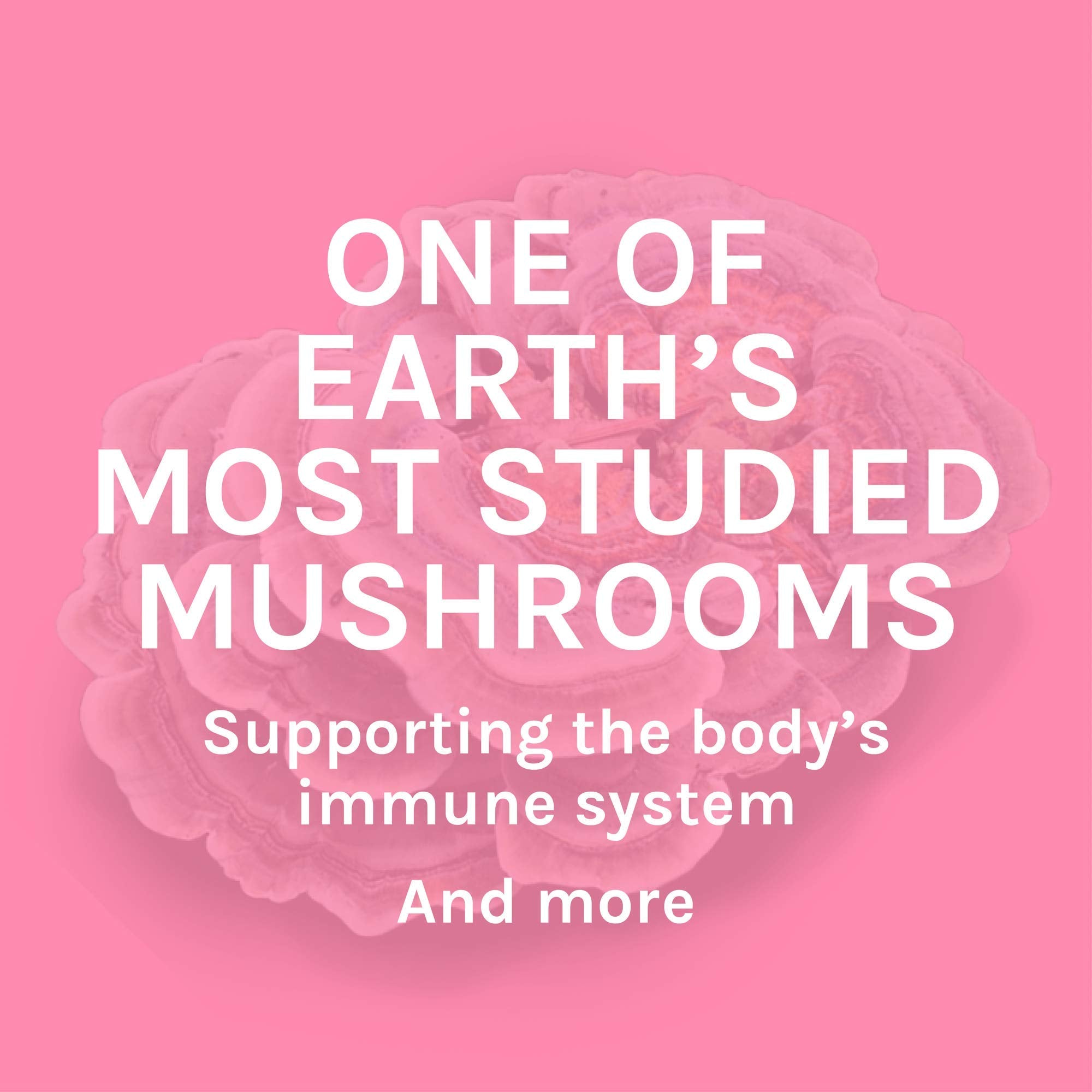 Herbal supplement for immune boost