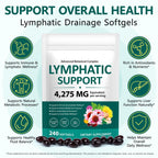 Herbal supplement for immune health