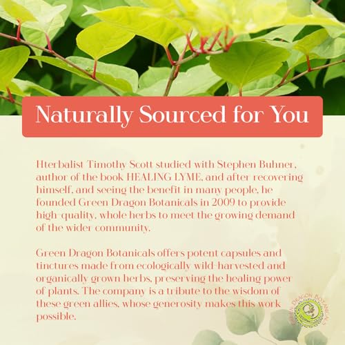 herbal supplement for immune resilience