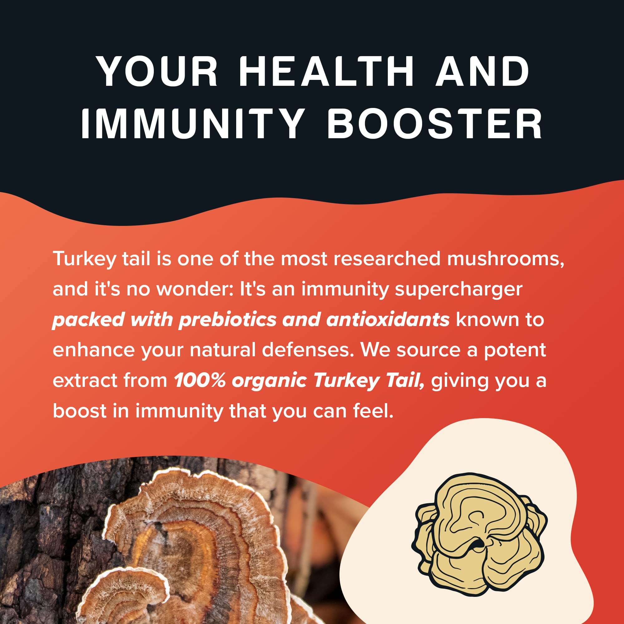 herbal supplement for immune support