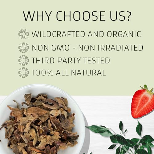 Herbal supplement for immune support