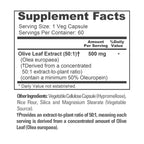 Herbal supplement for immune support