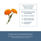 herbal supplement for immune support