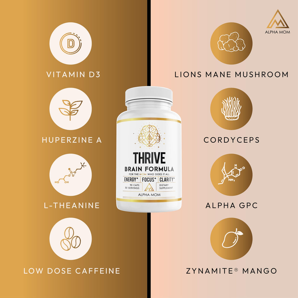 Herbal supplement for improved brain function